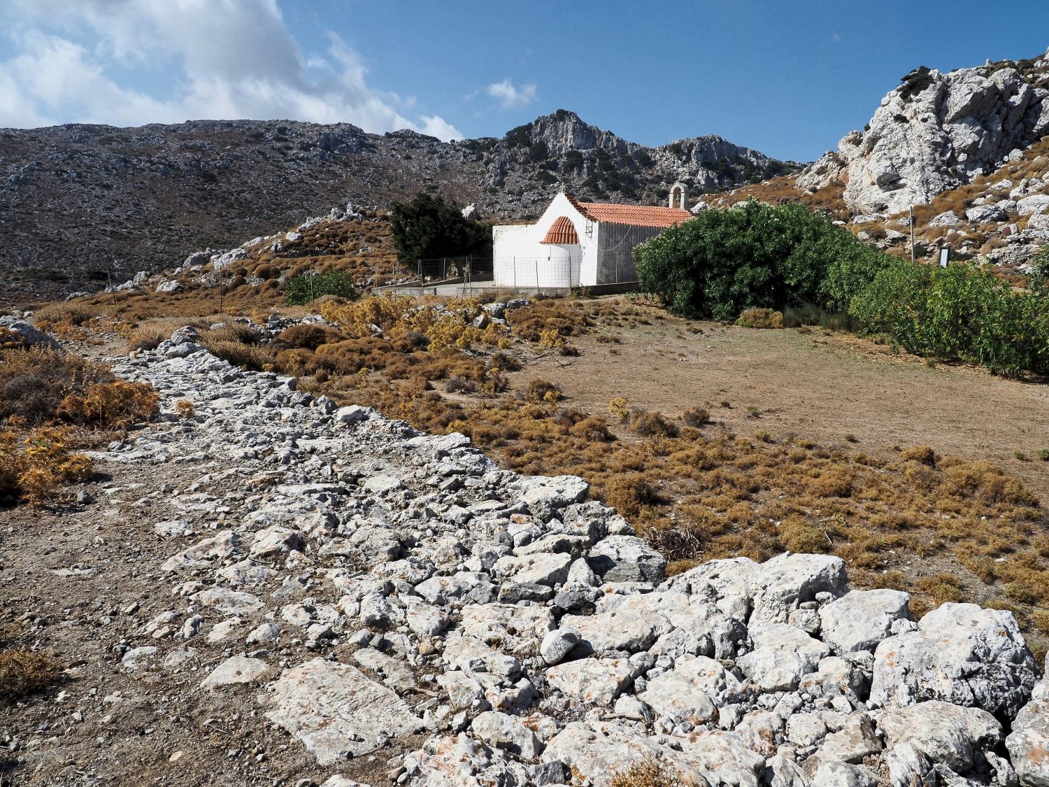 Αίγα κοκκινιστή με σκιουφιχτά, κατσικάκι με στάκα, σαρικόπιτες και ...
